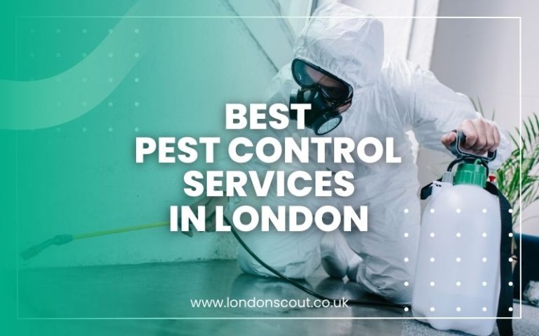 → Pest-Free 2026: Best Pest Control Services in London | LondonScout